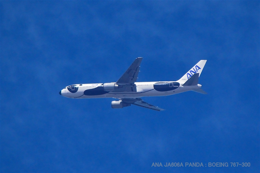 価格.com - 『ANA JA606A PANDA : BOEING 767-300』ニコン AF-S DX NIKKOR 55-300mm ...