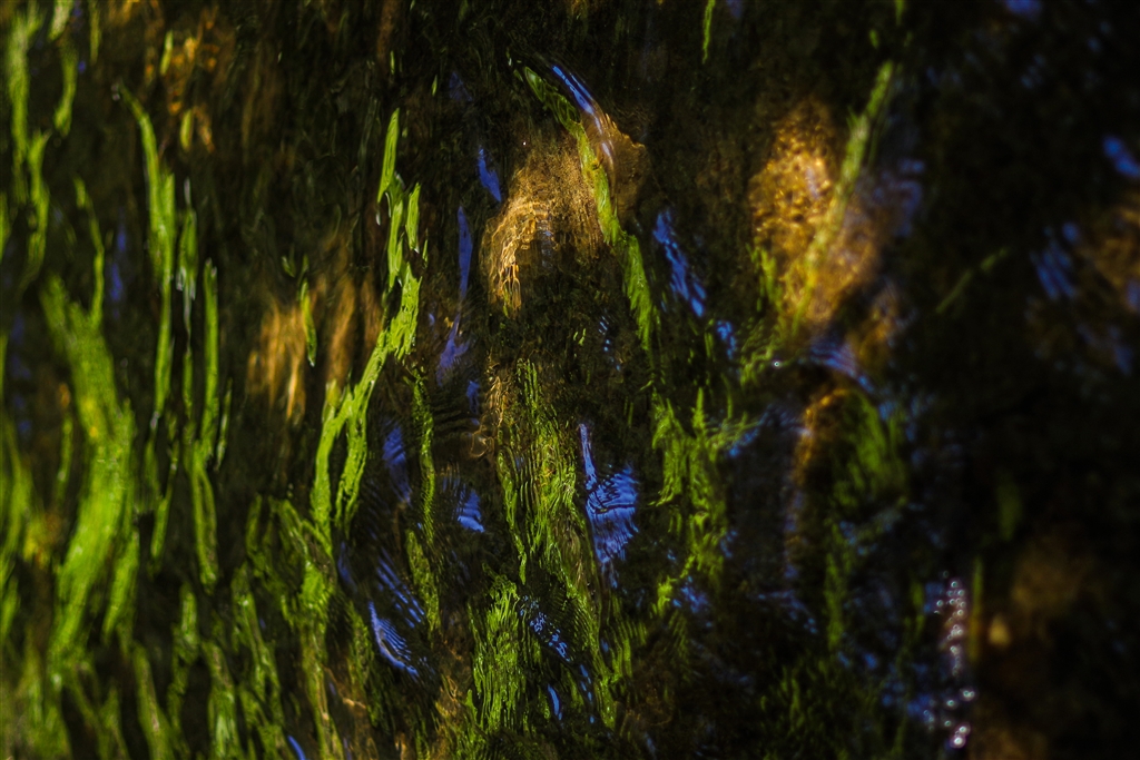 価格.com - 『飛騨にて』 デジタル一眼カメラ ペンタックス suzakid77さんのクチコミ掲示板投稿画像・写真「PENTAXと森歩き ...