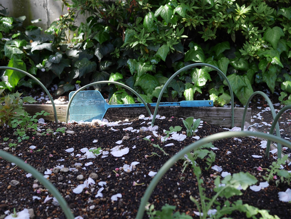 価格.com - パナソニック LEICA DG SUMMILUX 15mm/F1.7 ASPH. H-X015-K [ブラック] ポポーノキ ...