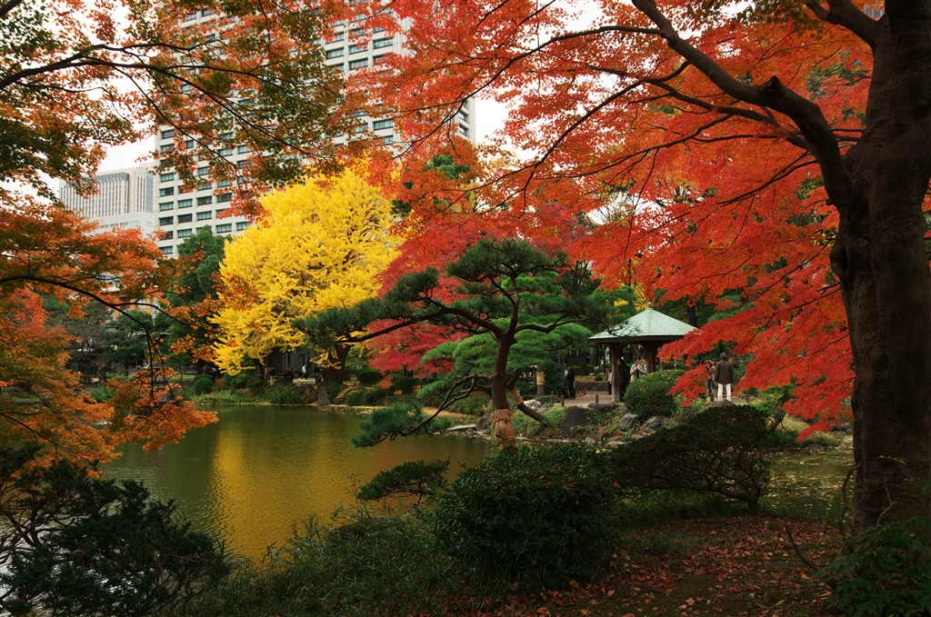 価格.com - ペンタックス PENTAX K-50 18-135WRキット 枯葉マーク初心者さん のクチコミ掲示板投稿画像・写真「雑撮り ...