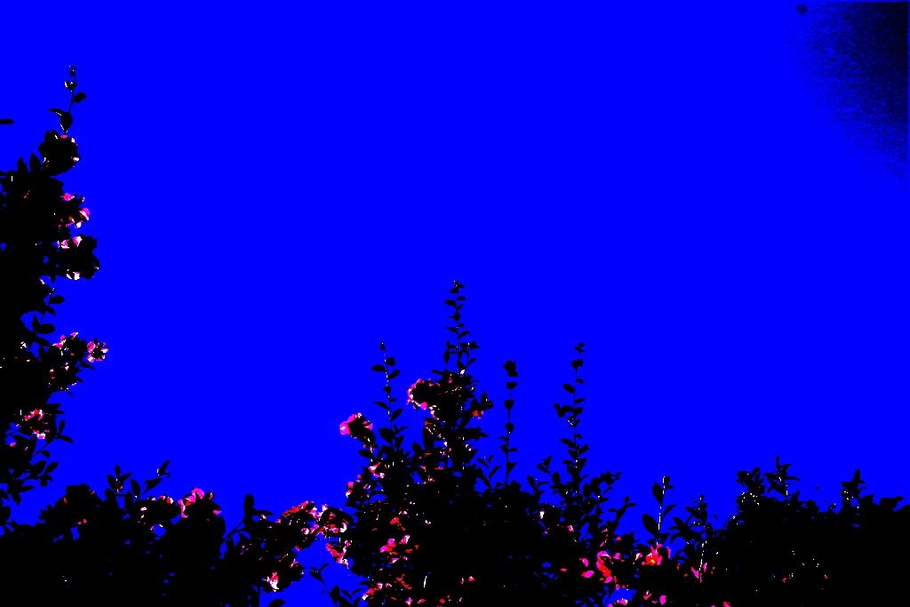 価格.com - 『ツァイスの画のコントラストをいじりました』CANON EF100-400mm F4.5-5.6L IS II USM ...