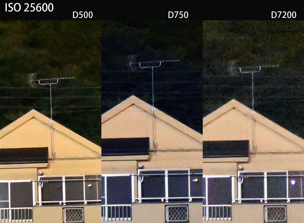 価格.com - 『ISO 25600』ニコン D500 ボディ woodpecker.meさん のクチコミ掲示板投稿画像・写真「月光下高感度 ...