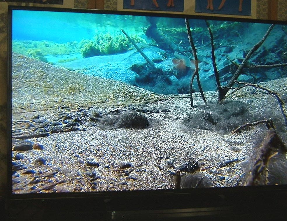 価格.com - パナソニック VIERA TH-58AX800F [58インチ] グランデさん のクチコミ掲示板投稿画像・写真「侮れない高 ...