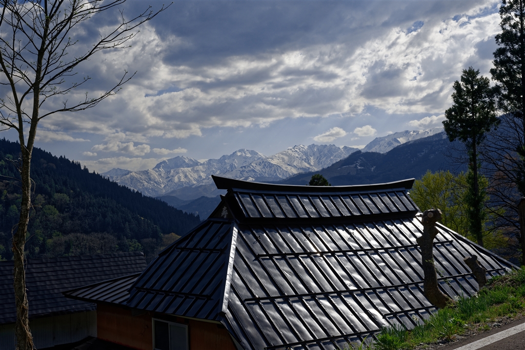 価格.com - SONY α6000 ILCE-6000L パワーズームレンズキット レンホーさん のクチコミ掲示板投稿画像・写真「一眼 ...