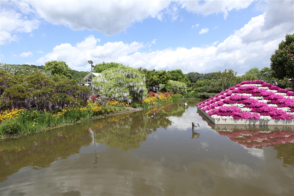 価格.com - CANON EF11-24mm F4L USM ミホジェーンⅢさん のクチコミ掲示板投稿画像・写真「旅行に持って行くレンズで ...