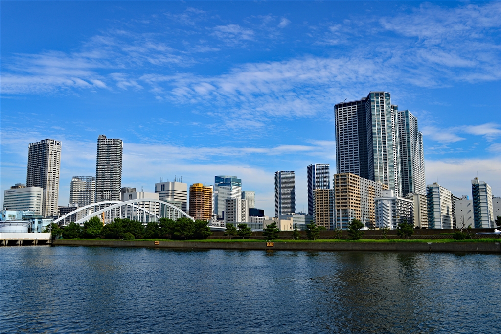 価格.com - ニコン D850 ボディ shuu2さん のクチコミ掲示板投稿画像・写真「注文店から納期状況のメールが届きました」[2838431]