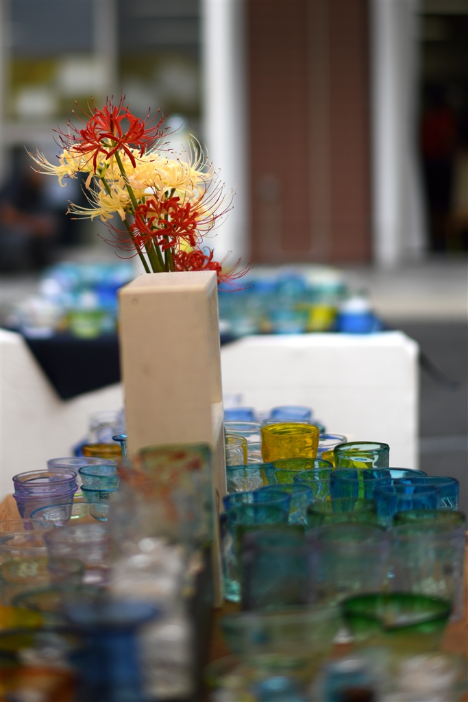 価格.com - ニコン D850 ボディ camepongさん のクチコミ掲示板投稿画像・写真「AF-S NIKKOR 58mm f/1 ...