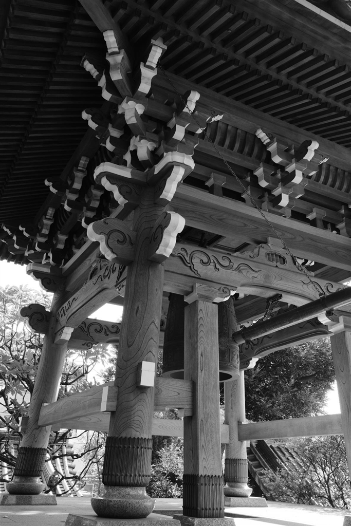 価格.com - 富士フイルム FUJIFILM X-E3 ボディ R-23さん のクチコミ掲示板投稿画像・写真「作例」[2886099]