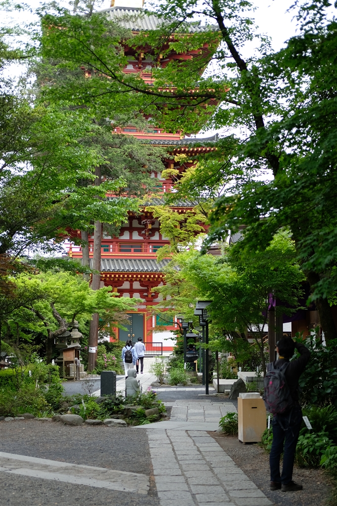 価格.com - 富士フイルム FUJIFILM X-T2 ボディ 酒と旅さん のクチコミ掲示板投稿画像・写真「X-T2とX-Pro2の写真館 ...