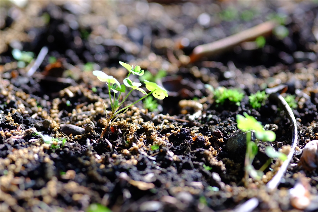 価格.com - 富士フイルム FUJIFILM X-A5 レンズキット 茶会さん のクチコミ掲示板投稿画像・写真「フジカラーで写そう♪X-A ...