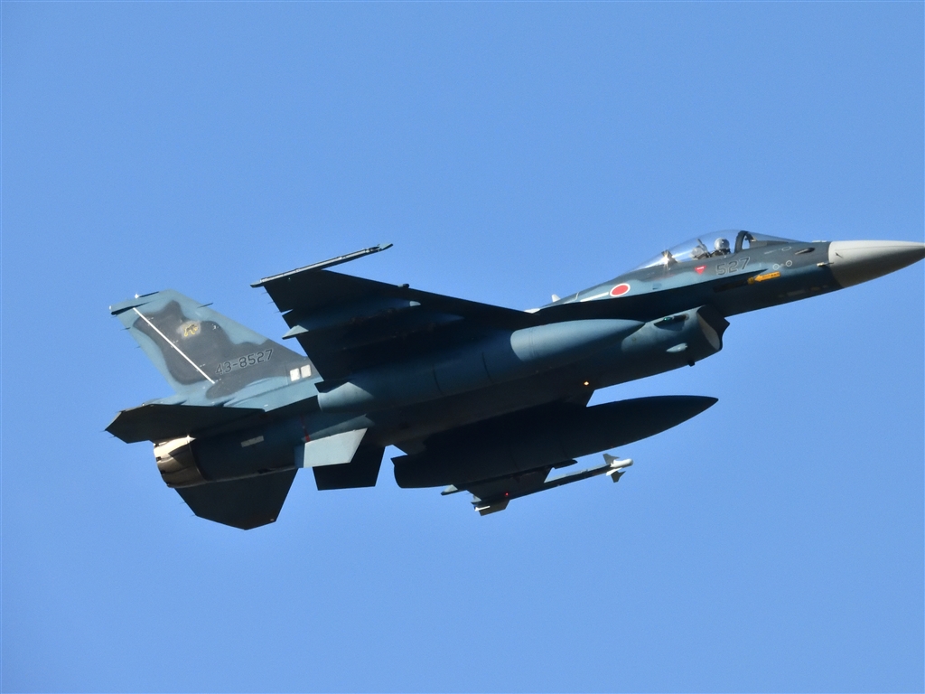 価格.com - 『SS1/2500" f略600mm ISO400』ニコン COOLPIX P1000 新シロチョウザメが好きさん の ...