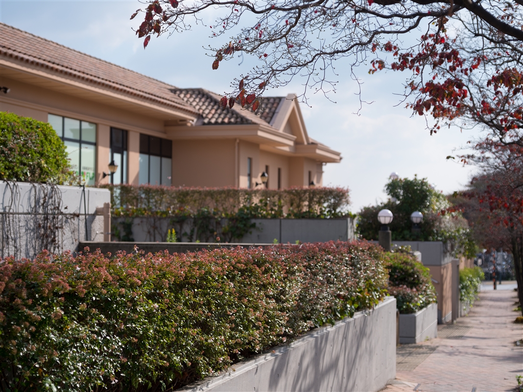 価格.com - 『80mmティルトなし、垣根の前の方にピント後ろはボケ気味』富士フイルム FUJIFILM GFX 50S ボディ わか ...