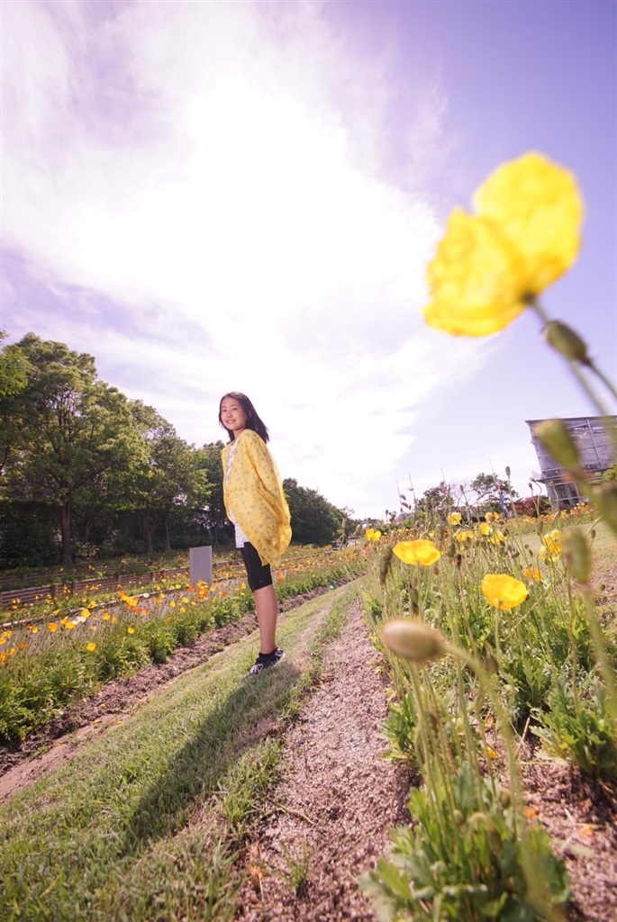 価格.com - シグマ 8-16mm F4.5-5.6 DC HSM (キヤノン用) 謎の写真家さん のクチコミ掲示板投稿画像・写真「質問 ...