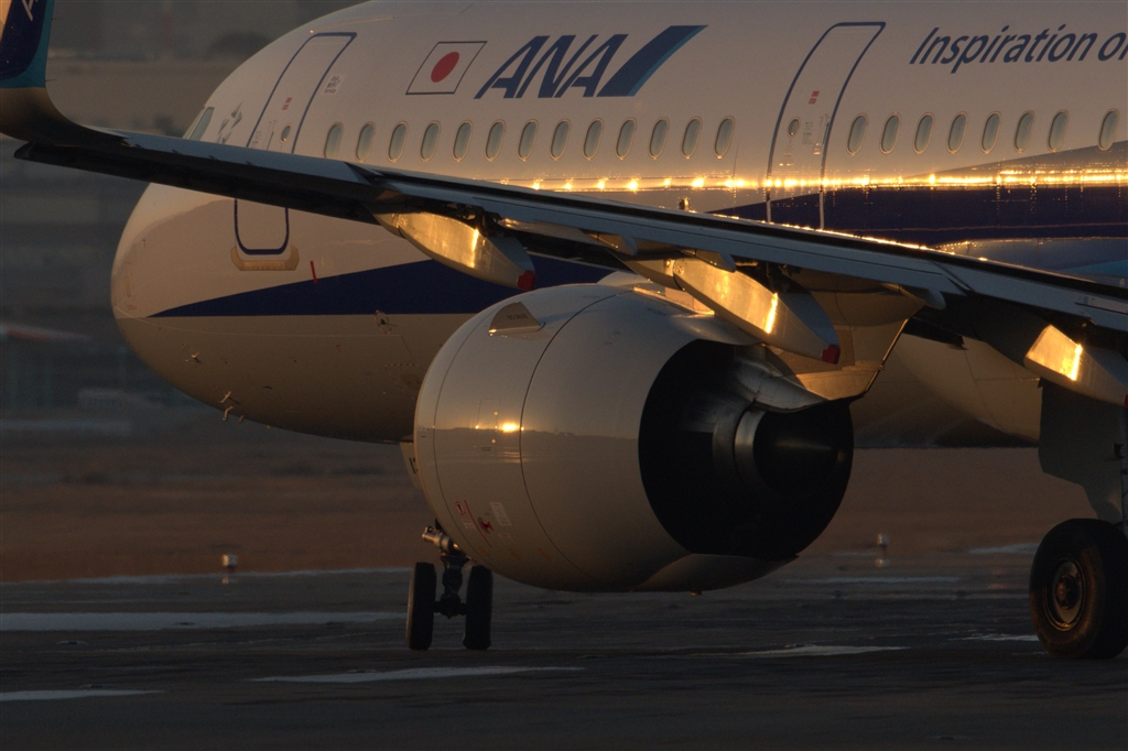 価格.com - デジタル一眼カメラ sweet-dさんのクチコミ掲示板投稿画像・写真「鉄鳥写真館 その24」[3164555]"