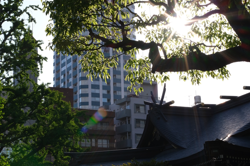 価格.com - 『フィリンガーFX10とEF50f1.4にて試写。』富士フイルム FUJIFILM X-T30 ボディ 茶色のごまちゃんさん ...