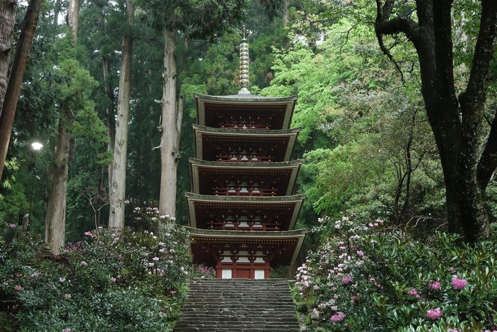 価格.com - 『奈良 室生寺』SONY サイバーショット DSC-RX100 日東太郎さん のクチコミ掲示板投稿画像・写真「RX100で ...