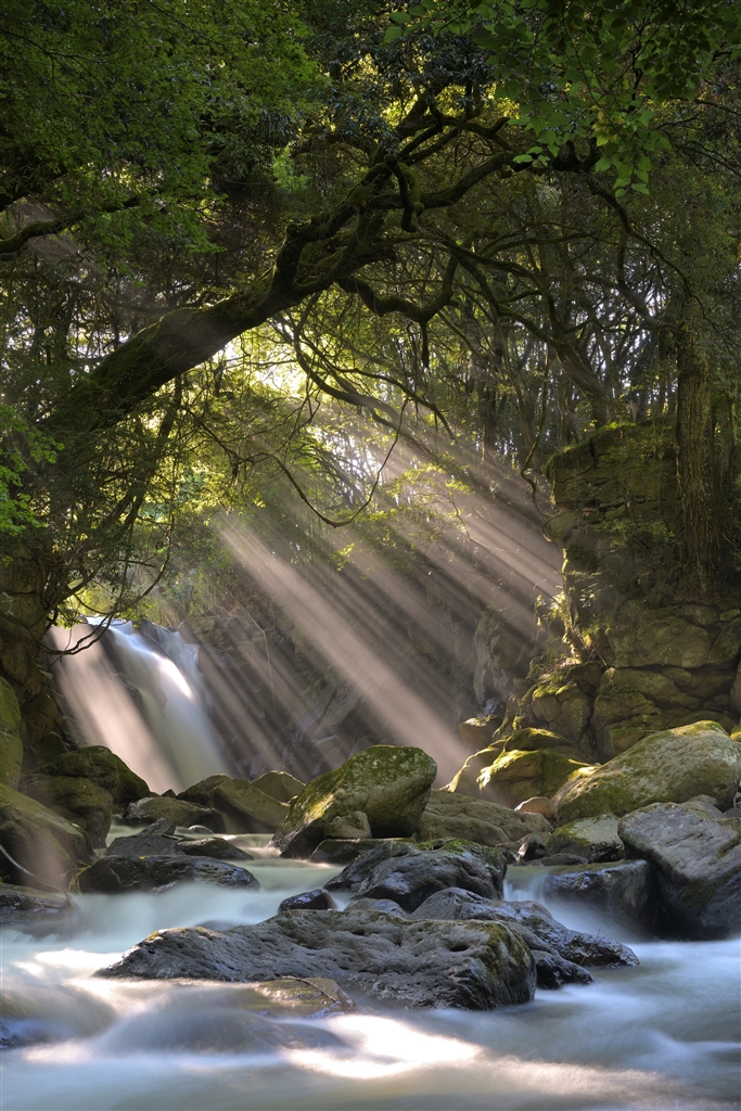 価格.com - 『小国町の夫婦滝です。』ニコン Z 7 24-70+FTZ マウントアダプターキット Tsukougeiさん のクチコミ ...