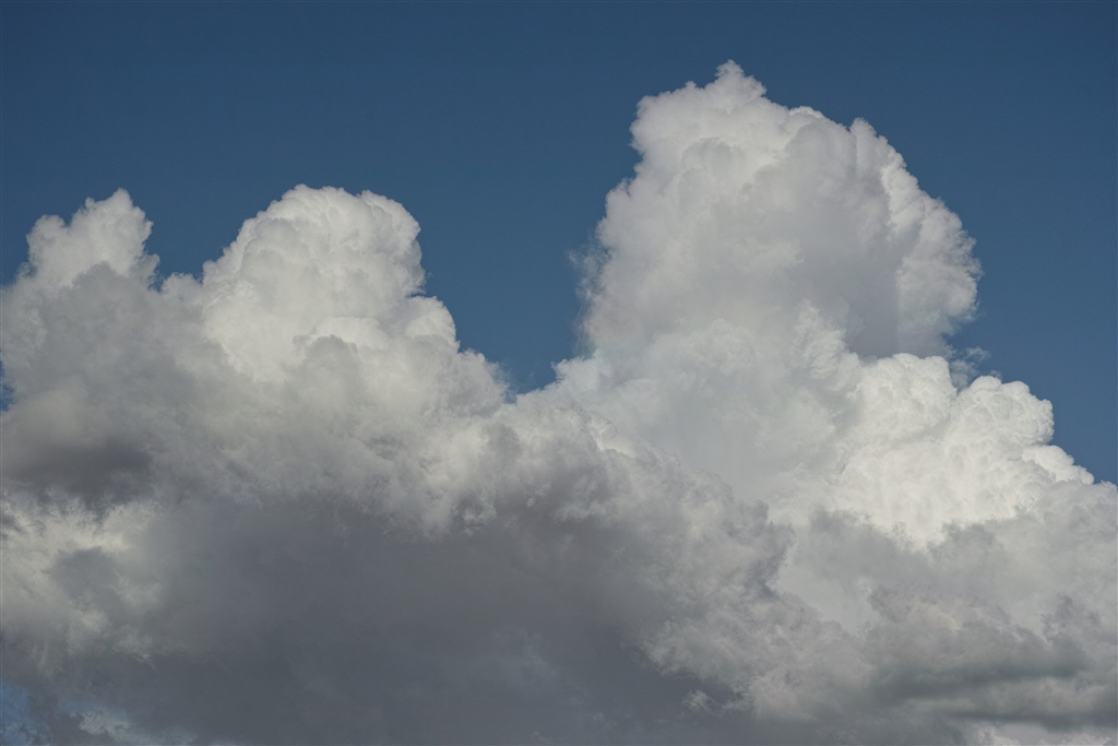 価格.com - デジタル一眼カメラ シグマ 柚子麦焼酎さんのクチコミ掲示板投稿画像・写真「X3F拾遺集13：フルサイズは出るのか ...