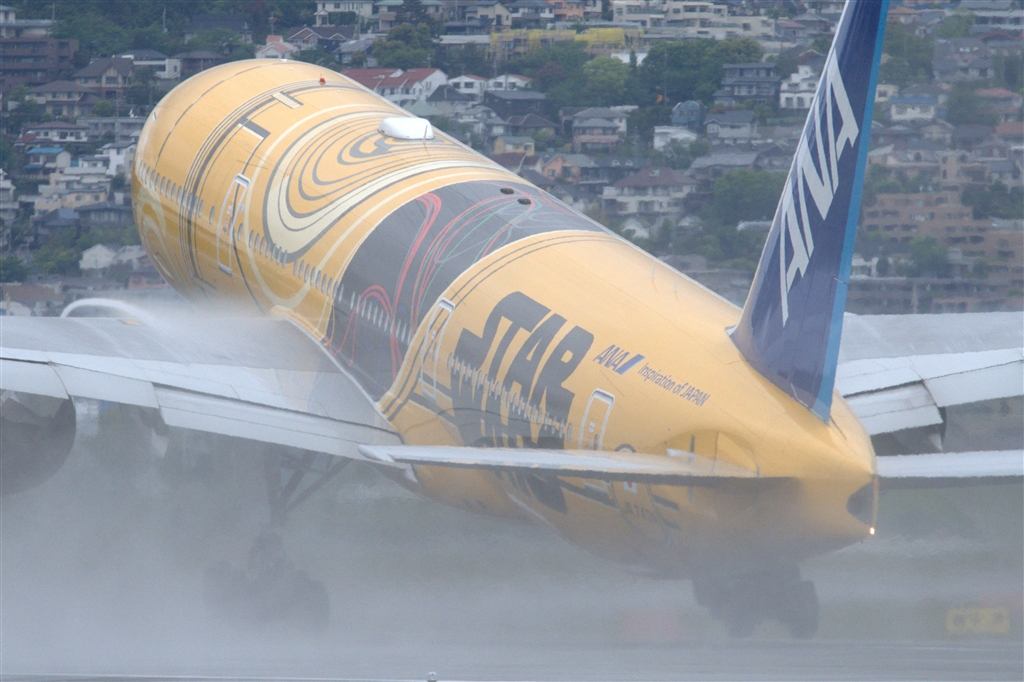 価格.com - ニコン D850 ボディ sweet-dさん のクチコミ掲示板投稿画像・写真「飛行機、野鳥を撮るには、どちらのレンズが良いの ...