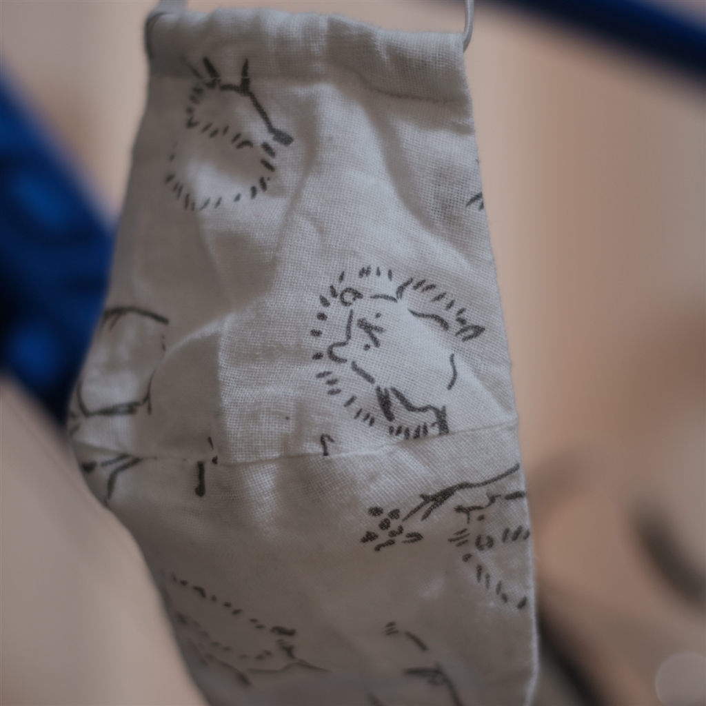 価格.com - 富士フイルム FUJIFILM X-E3 ボディ hirappaさん のクチコミ掲示板投稿画像・写真「なぜ？」[3359912]