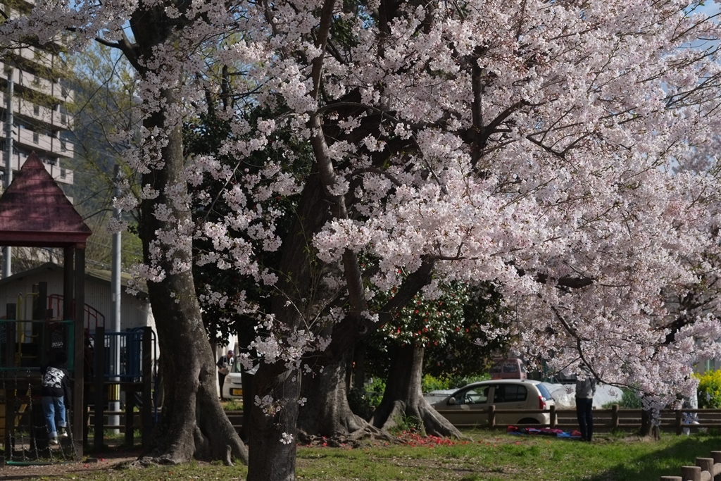 価格.com - デジタル一眼カメラ 富士フイルム フォトアートさんのクチコミ掲示板投稿画像・写真「X写真同好会 PART16 (4月号 ...