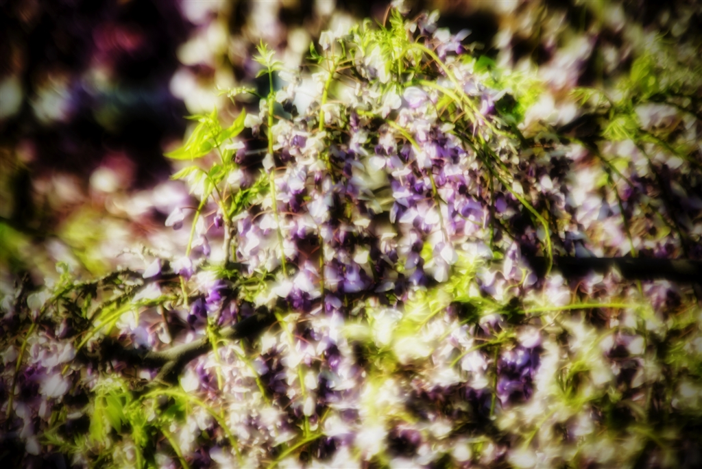 価格.com - 京セラ CONTAX 645 標準的セット ハリケーンちき夫さん のクチコミ掲示板投稿画像・写真「自由広場30」[3375251]