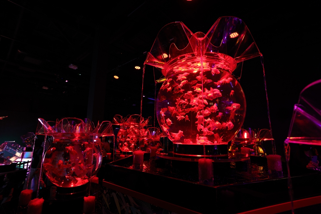 価格.com - CANON EOS R5 ボディ 負けるな！東北さん のクチコミ掲示板投稿画像・写真「アートアクアリウム」[3436868]