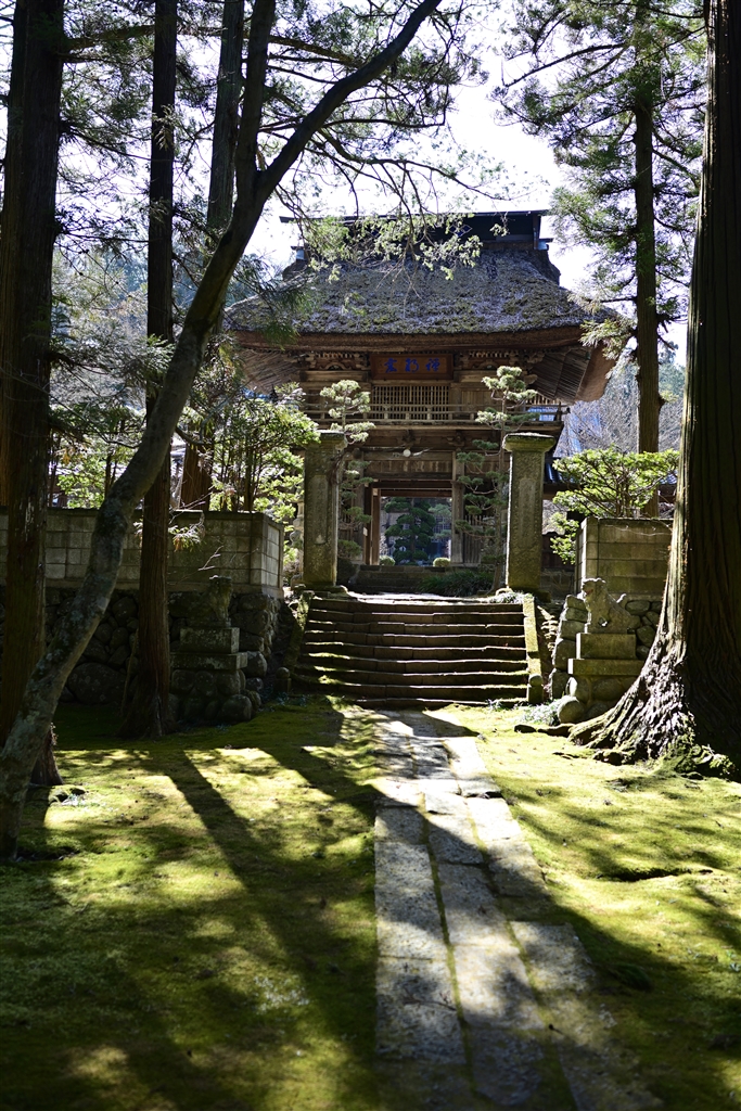 価格.com - ニコン NIKKOR Z 70-200mm f/2.8 VR S hukurou爺さん のクチコミ掲示板投稿画像・写真「購入 ...