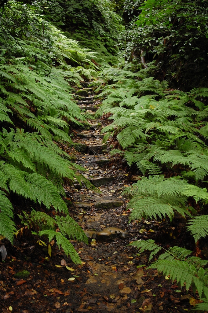価格.com - 『撮り鉄を終えて山中へ』 デジタルカメラ day40さんのクチコミ掲示板投稿画像・写真「密を避けて綴る春夏秋冬～帰って来た ...