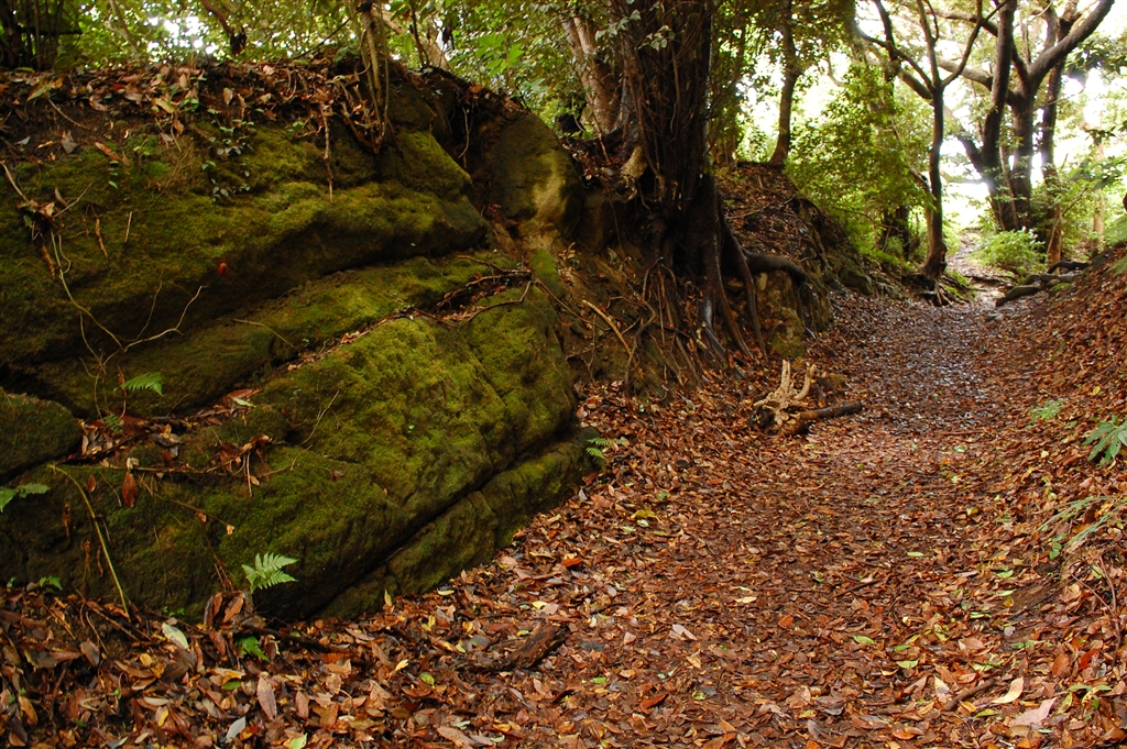 価格.com - 『ヒュージは留守でした^^』 デジタルカメラ day40さんのクチコミ掲示板投稿画像・写真「密を避けて綴る春夏秋冬～帰って来 ...