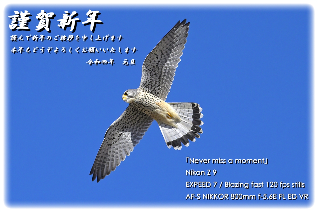 価格.com - ニコン Z 9 ボディ 光の詩人さん のクチコミ掲示板投稿画像・写真「明けましておめでとうございます。」[3638712]