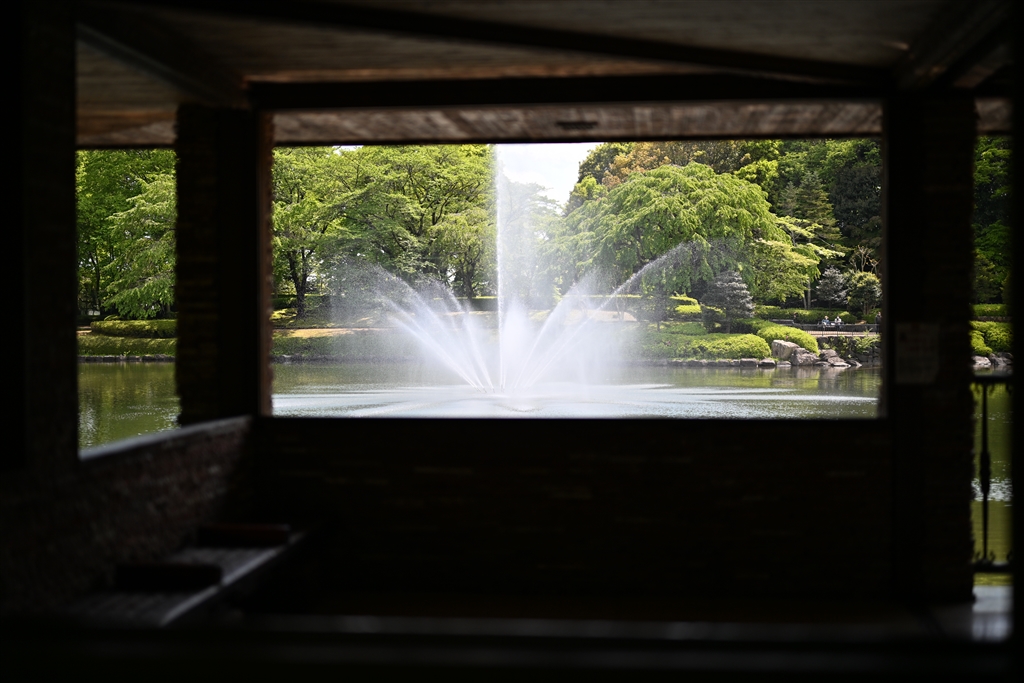 価格.com - ニコン Z 9 ボディ こたつ猫の趣味さん のクチコミ掲示板投稿画像・写真「ニコンZ9 対抗他社は、どうする？ちょっと想像が ...