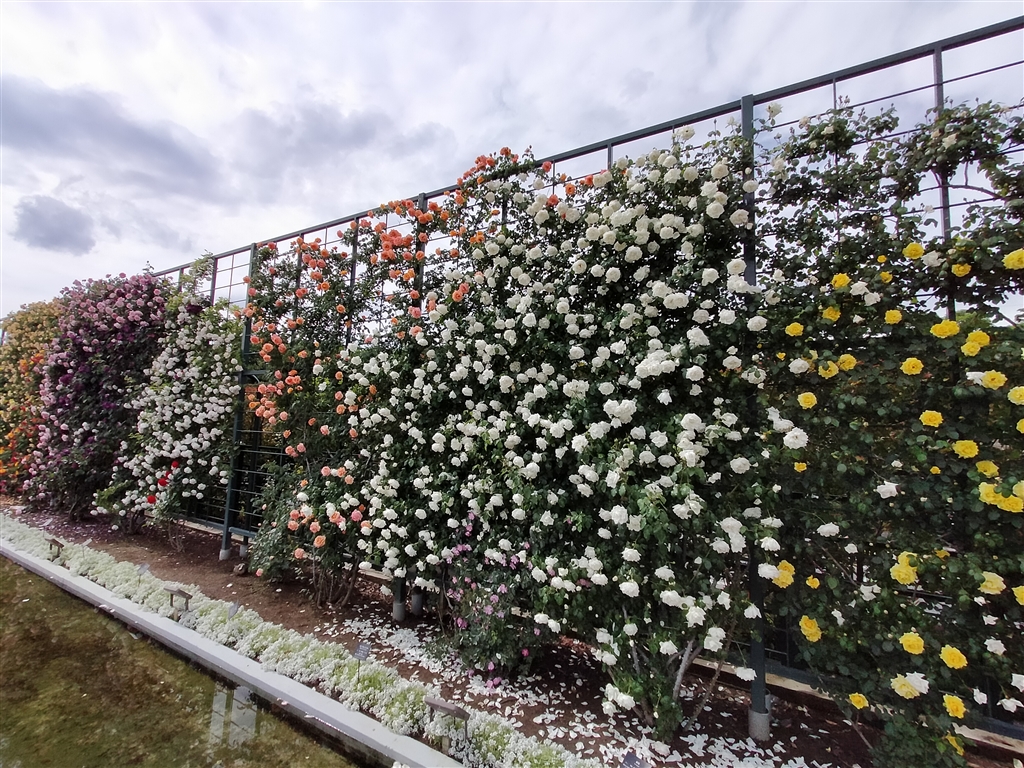 価格.com - デジタルカメラ ラルゴ13さんのクチコミ掲示板投稿画像・写真「★ルナコンボール 番外編」[3690957]"