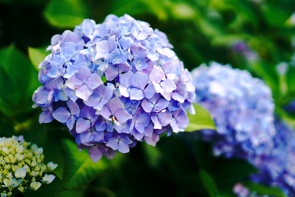 価格.com - 『α7RⅢで撮影 50mmF1.4ZA』SONY α7 III ILCE-7M3 ボディ neo-zeroさん のクチコミ ...