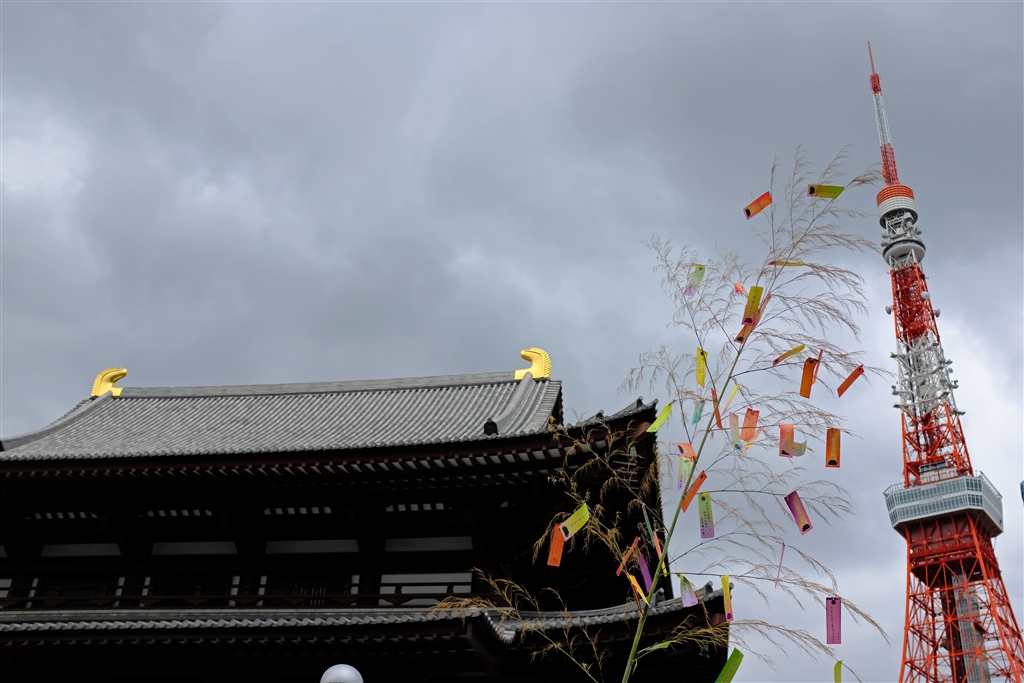 価格.com - 『増上寺』富士フイルム FUJIFILM X100F shuu2さん のクチコミ掲示板投稿画像・写真「夏の風物詩」[3710884]