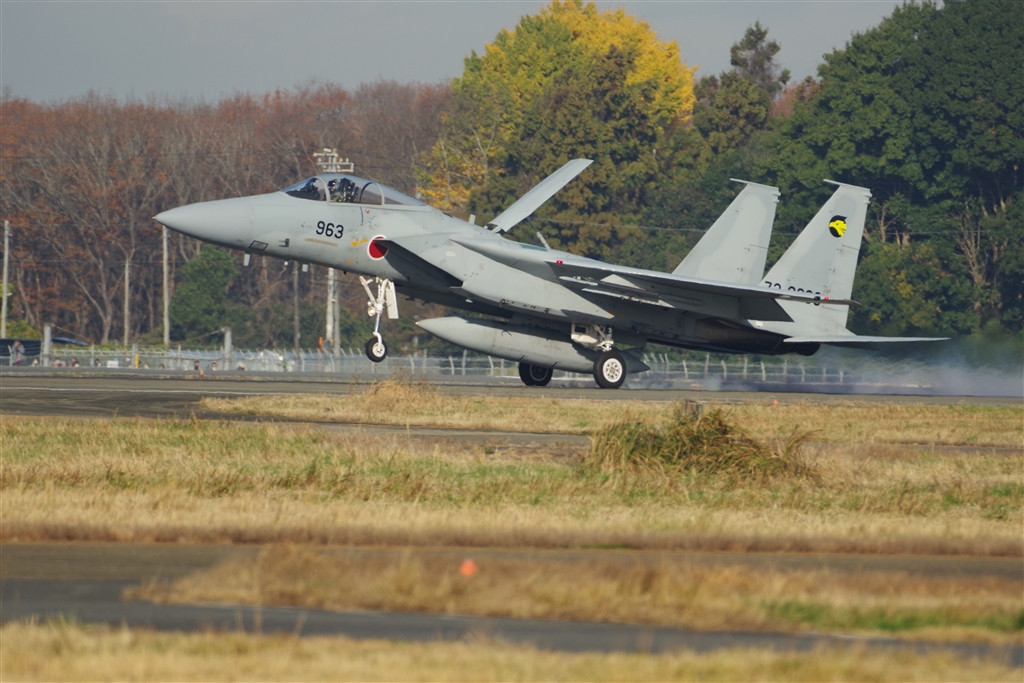 価格.com - 『傾き補正』ペンタックス HD PENTAX-D FA 150-450mmF4.5-5.6ED DC AW ヒヨドリ28号 ...