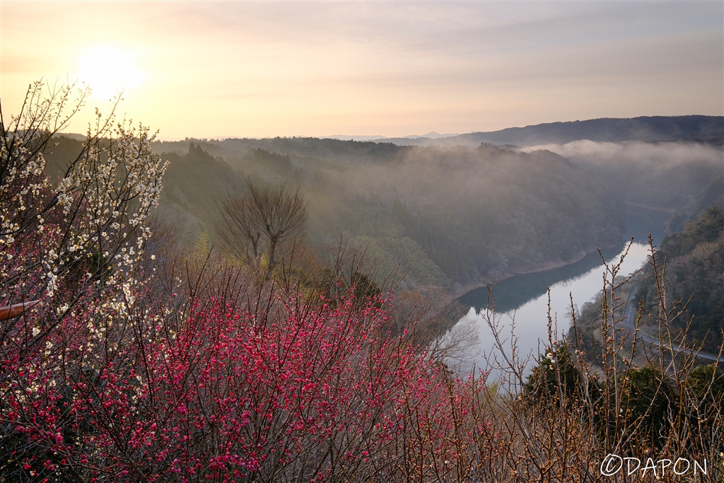 価格.com - 『JPEG：Velvia フィルター使用（Reverse GND8）』富士フイルム FUJIFILM X-H2 ボディ ダ ...