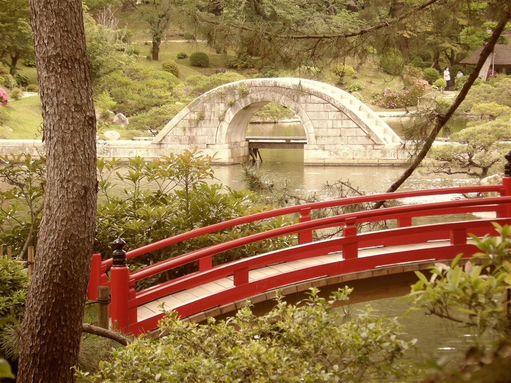 価格.com - コダック EasyShare Z990 歌写さん のクチコミ掲示板投稿画像・写真「フィルム撮影のピンチヒッター」[3818603]