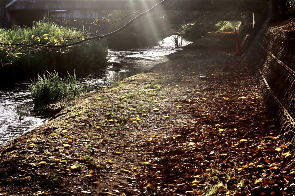 価格.com - SONY α6700 ILCE-6700M 高倍率ズームレンズキット [ブラック] ねこまたのんき2013さん のクチコミ ...