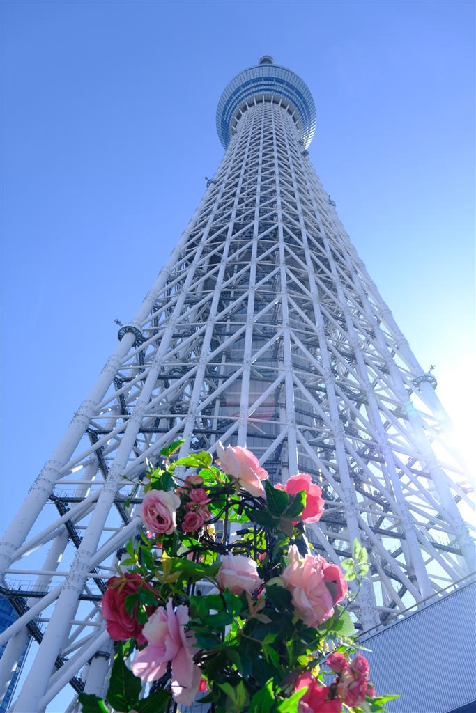 価格.com - 『ここの、主役はあんさんですですゎ！』富士フイルム FUJIFILM X-H2 ボディ m2 mantaさん のクチコミ ...