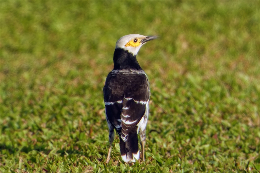 価格.com - 『売り切れたパナソニックFZ85（1700mm）』OMデジタルソリューションズ OM SYSTEM Tough TG-7 ...