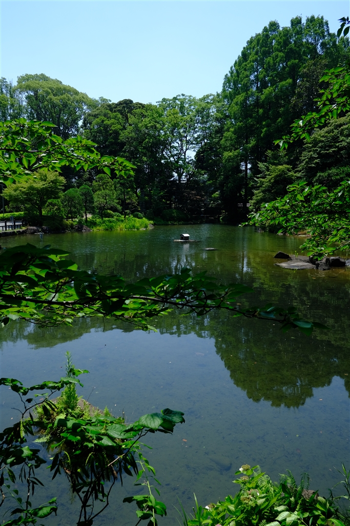 価格.com - 『細川下屋敷跡地…戸越公園と文庫の森が分断されなかったらと残念に思う』富士フイルム FUJIFILM X-H2 ボディ m2 ...