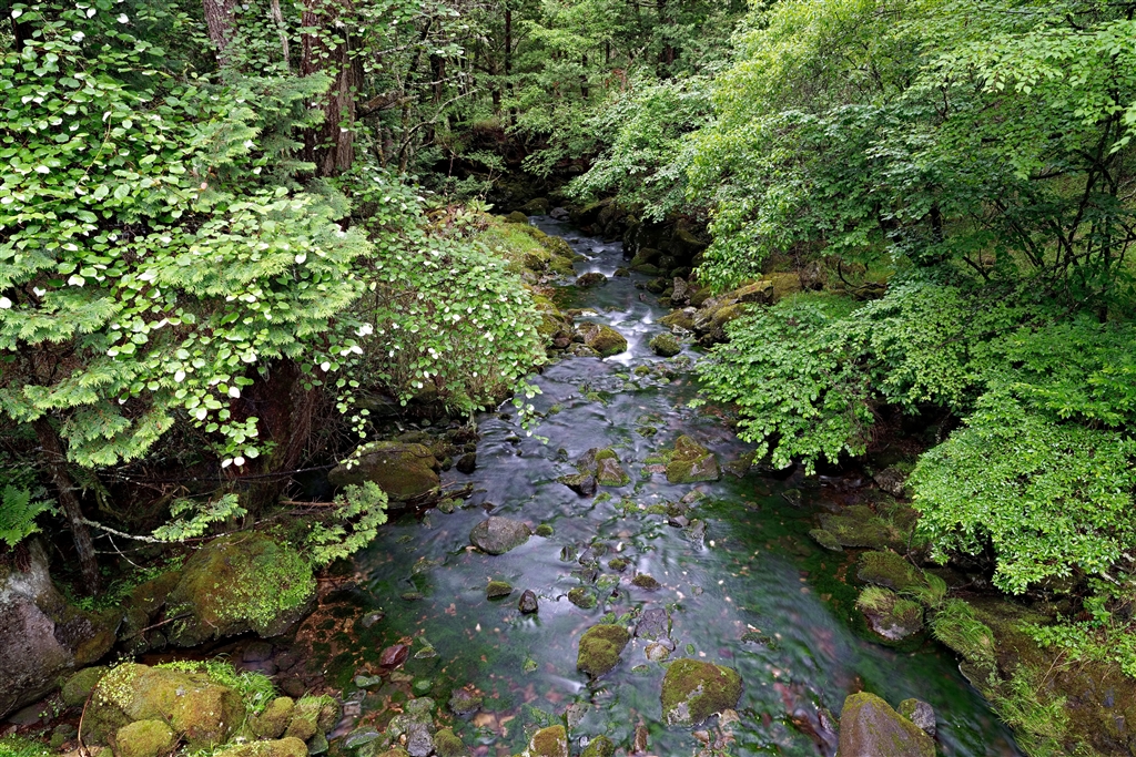 価格.com - 『シグマのレンズです』SONY α7R V ILCE-7RM5 ボディ レンホーさん のクチコミ掲示板投稿画像・写真 ...