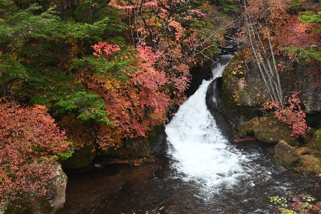 価格.com - ニコン Z 5 ボディ ガジェットじいさんさん のクチコミ掲示板投稿画像・写真「Z5の秋」[3981507]