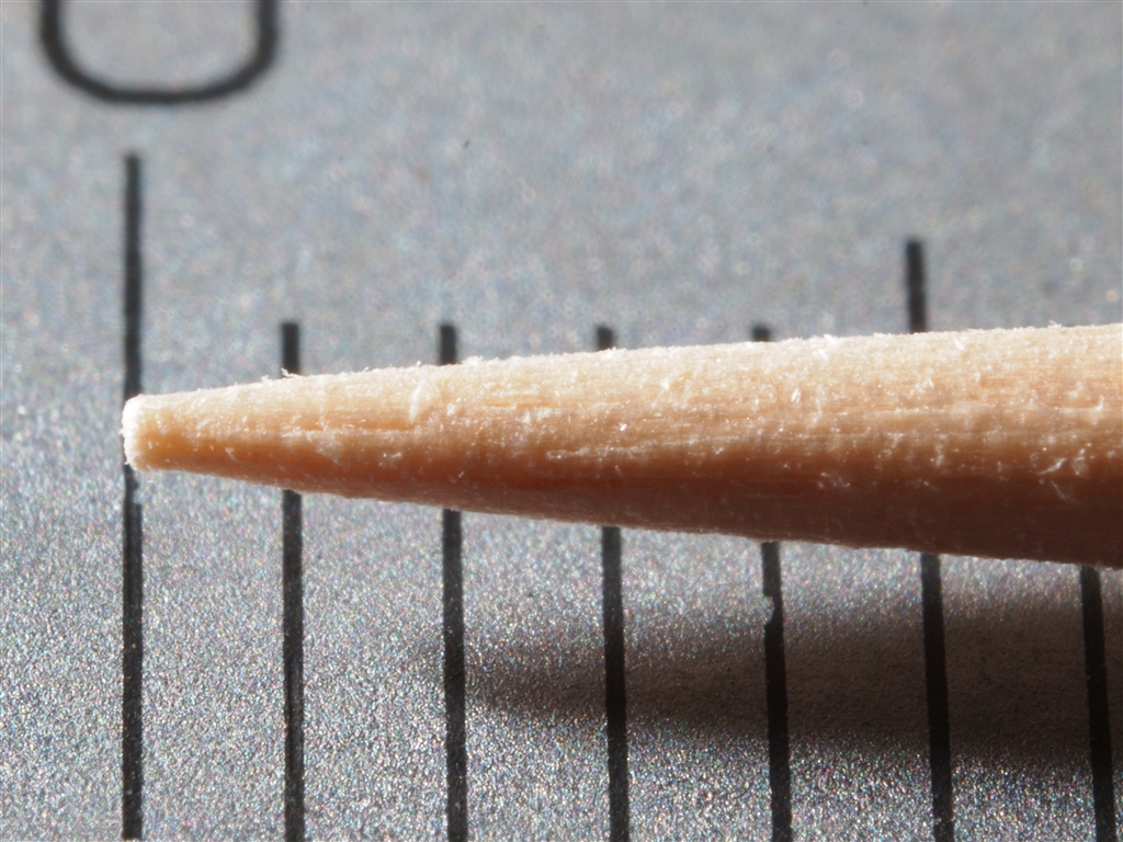 価格.com - 『90mm/F5.6だとこの程度』OMデジタルソリューションズ OM SYSTEM OM-1 Mark II ボディ ポロ ...