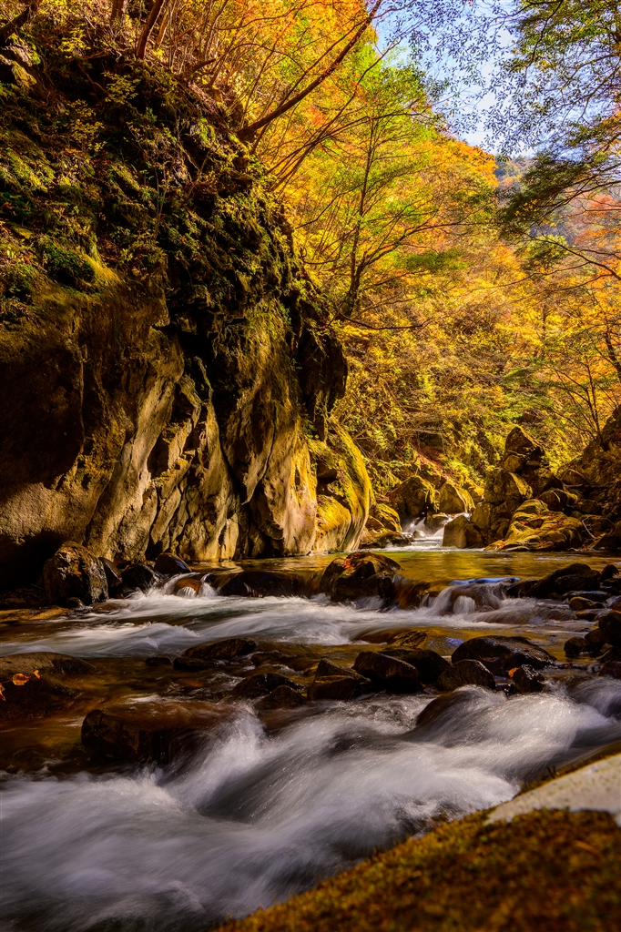 価格.com - 『D780はアウトドアに強いのも魅力です。』ニコン D780 ボディ 娘にメロメロのお父さんさん のクチコミ掲示板投稿画像 ...