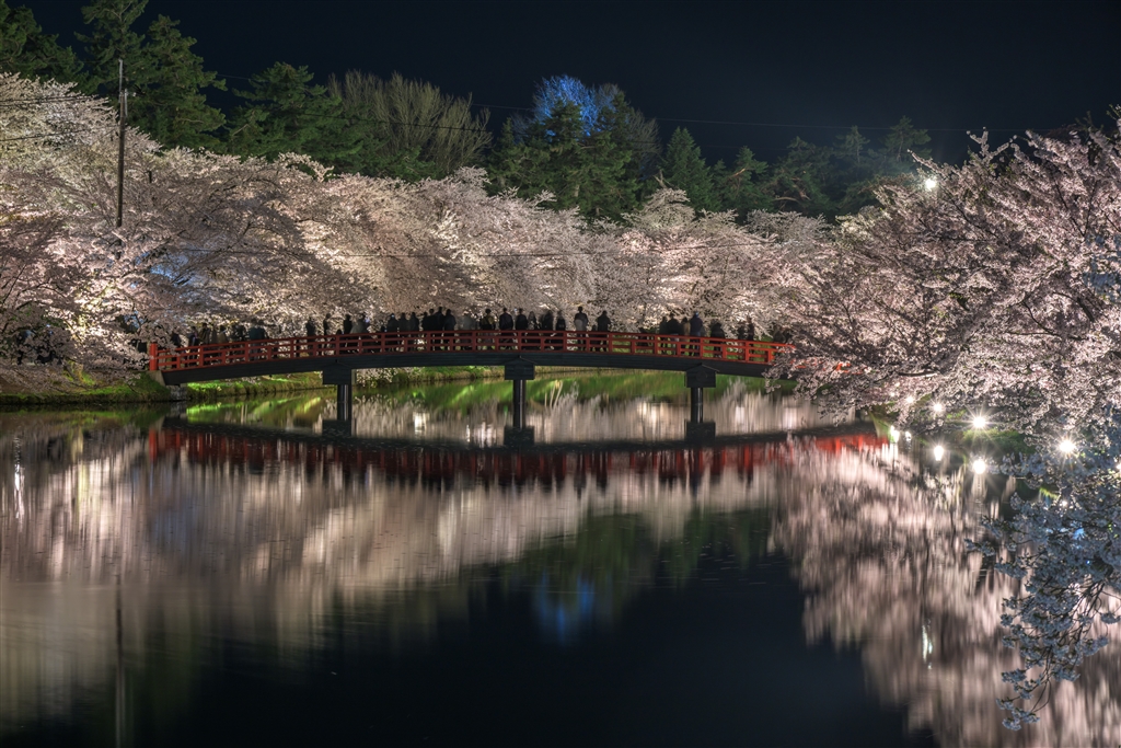 価格.com - ニコン NIKKOR Z 24-200mm f/4-6.3 VR yassu41さん のクチコミ掲示板投稿画像・写真「ライト ...