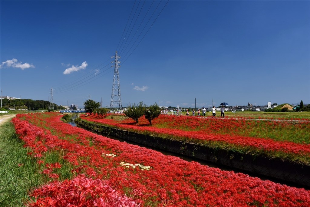 購入に迷っています』 ニコン AF-S NIKKOR 16-35mm f/4G ED VR 購入に迷っています』 ニコン AF-S NIKKOR 16-35mm f/4G ED VR