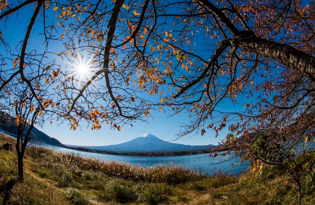 魚眼 de 紅葉』 ニコン AI AF Fisheye-Nikkor 16mm f/2.8D の 魚眼 de 紅葉』 ニコン AI AF Fisheye-Nikkor 16mm f/2.8D の