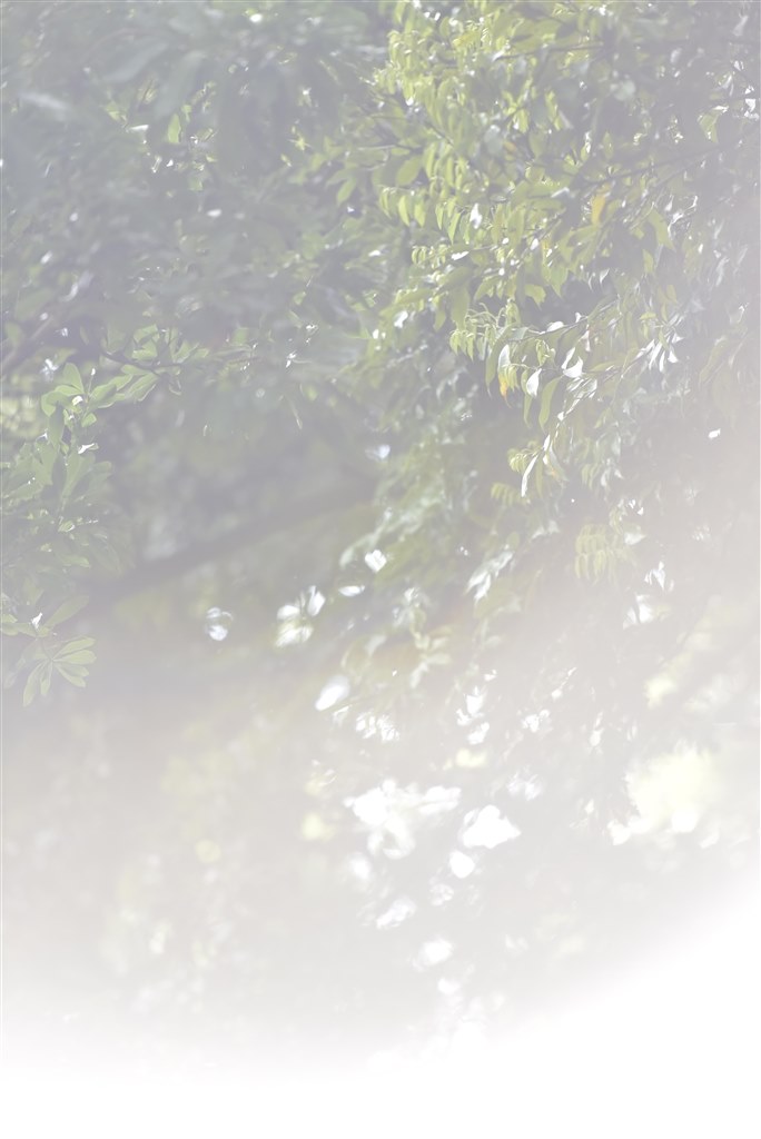奇妙な形のフレア』 ニコン AF-S NIKKOR 70-200mm f/2.8G ED VR 奇妙な形のフレア』 ニコン AF-S NIKKOR 70-200mm f/2.8G ED VR